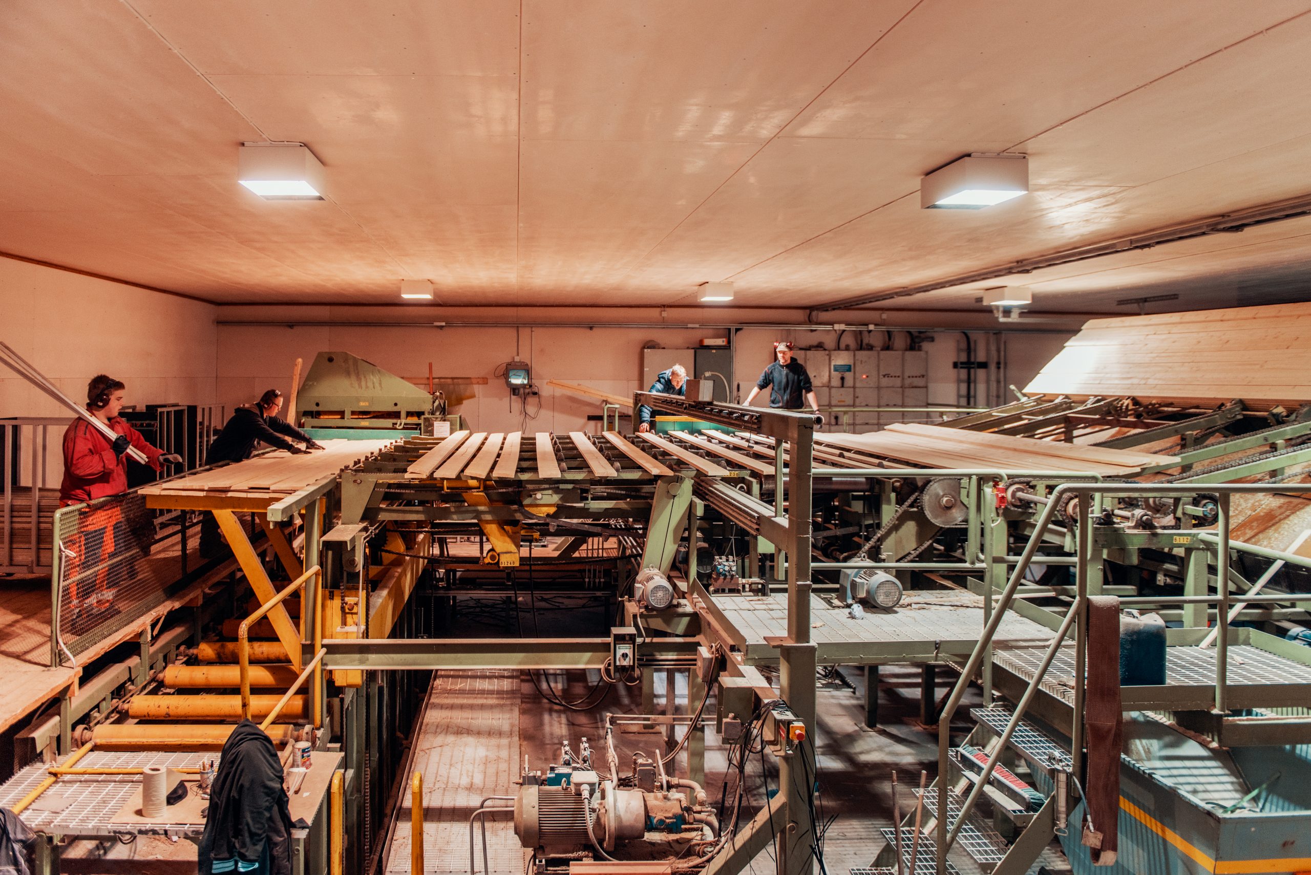 Grading and Classification | HJT-Holz